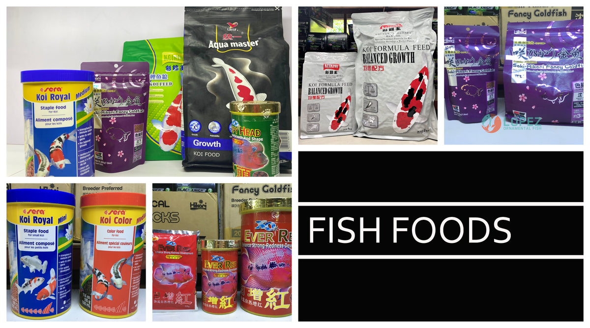 Fish Foods – Lopez Ornamental Fish